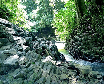 Teck Guan Cocoa Village – Go Borneo Tours & Travel – Travel Agency in ...